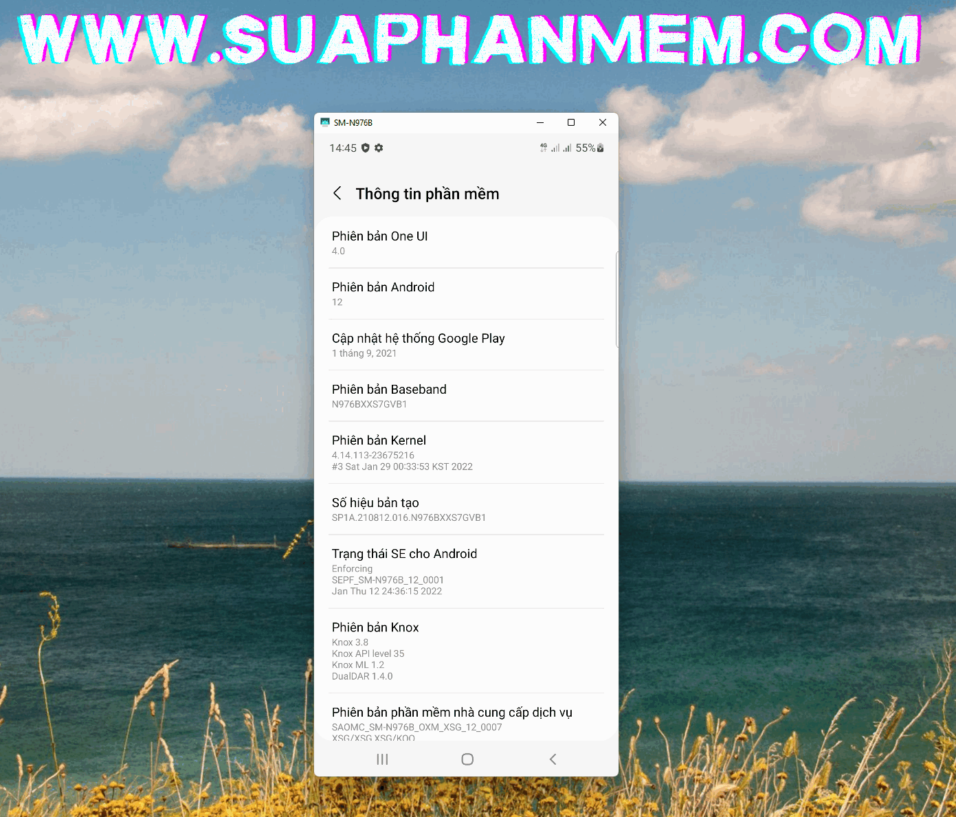 Rom 2 sim (dual sim) Samsung Note 10 Plus 5G SM-N976N - Thế Giới Rom ...